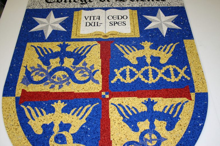 One Piece Water Jet Logos | Angelozzi Terrazzo